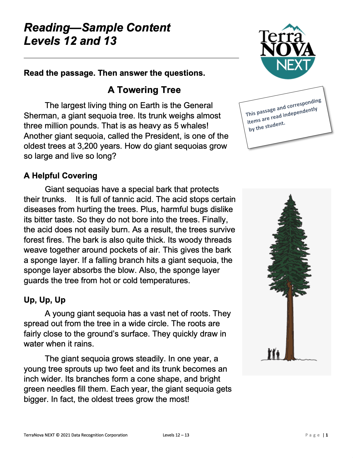 TerraNova NEXT | Sample Items